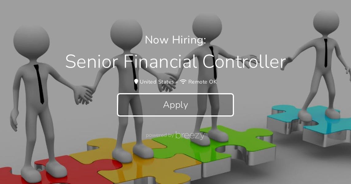 Senior Financial Controller at ISHIR