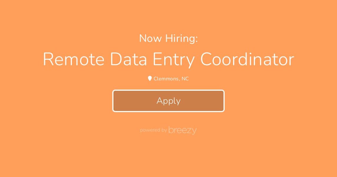 Remote Data Entry Coordinator At Focusgrouppanel