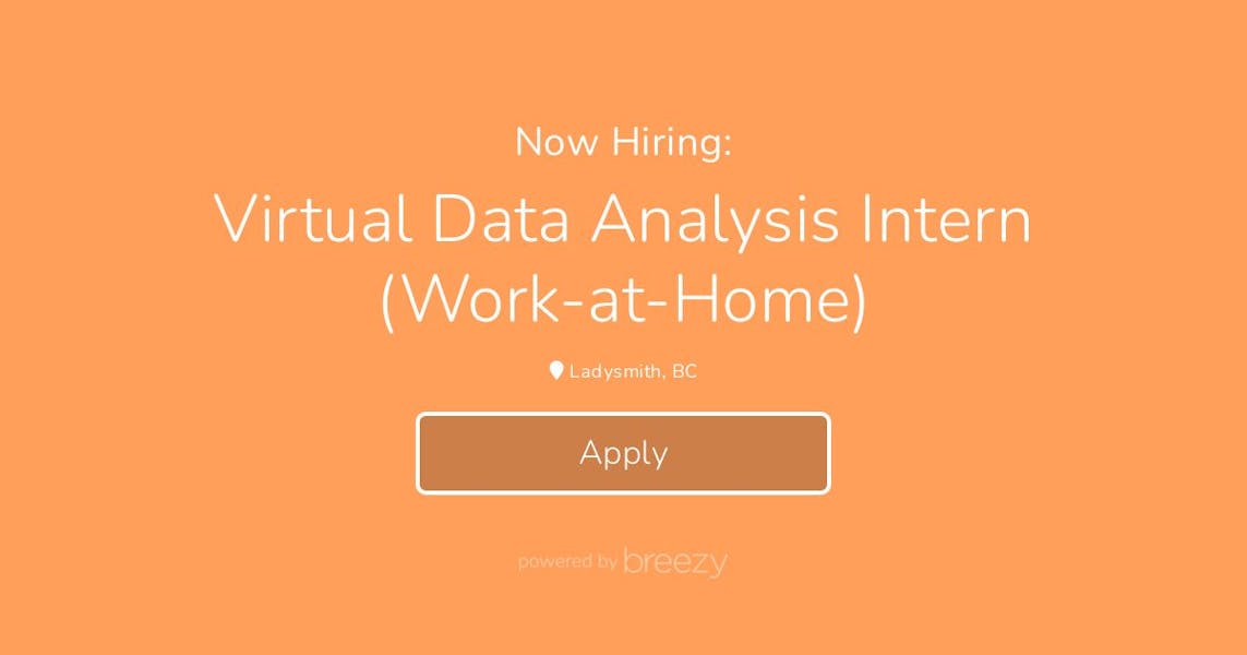 Virtual Data Analysis Intern Work At Home At Focusgrouppanel