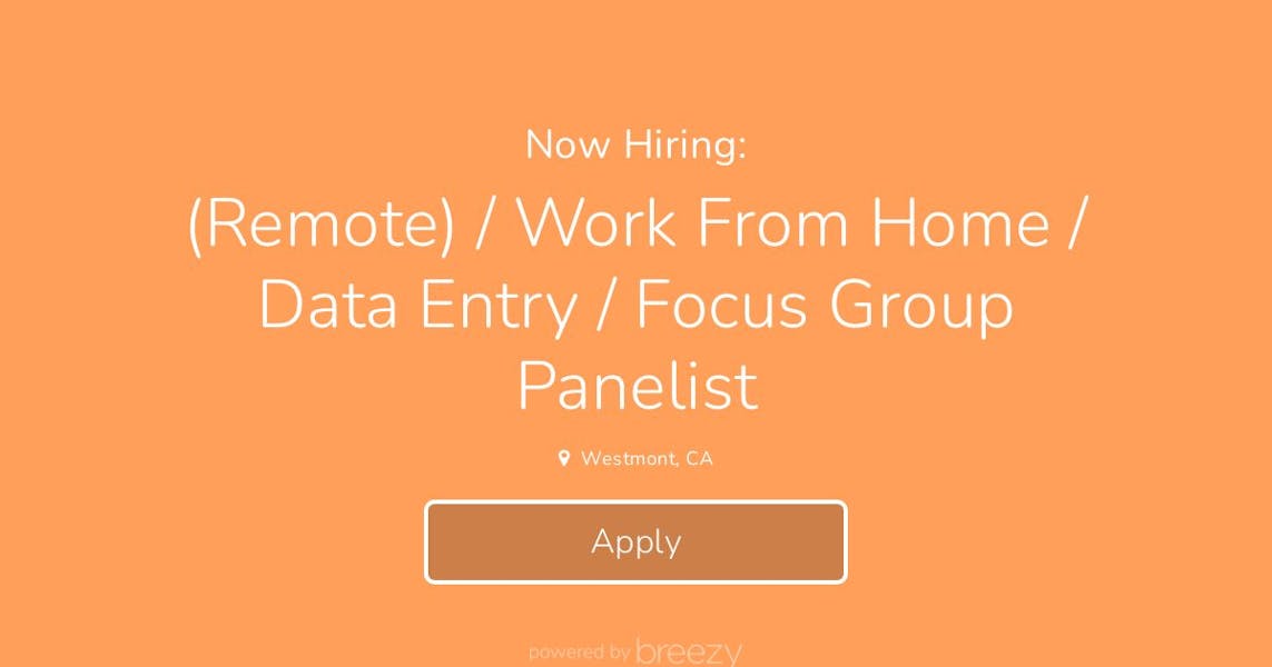 Remote Work From Home Data Entry Focus Group Panelist At