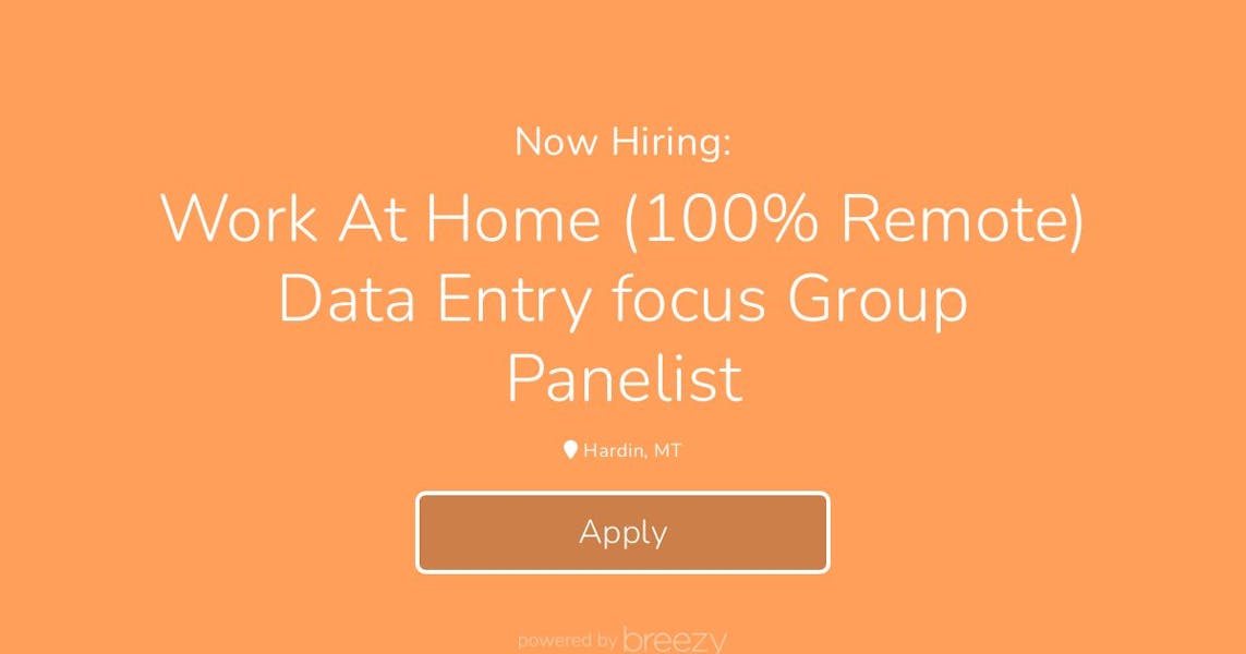 Work At Home 100 Remote Data Entry Focus Group Panelist At
