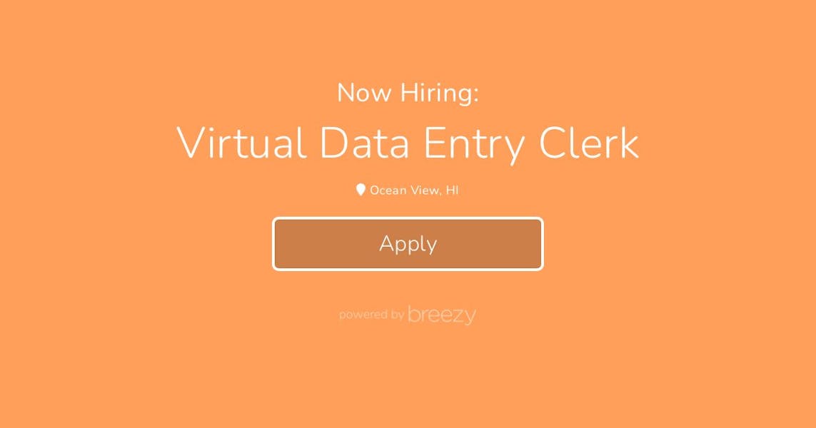Virtual Data Entry Clerk At Focusgrouppanel