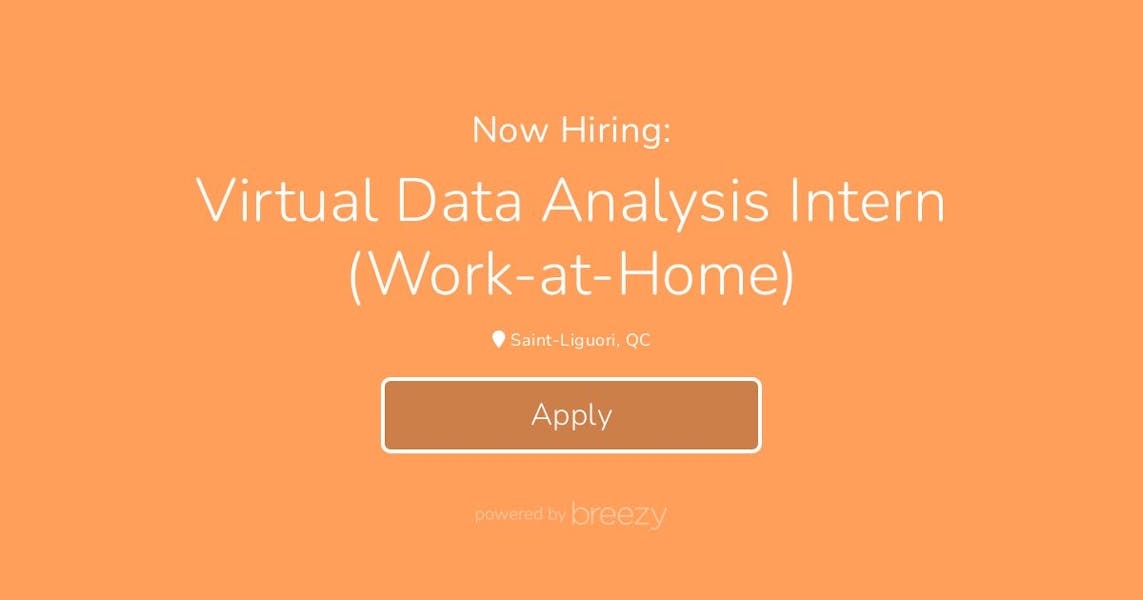 Virtual Data Analysis Intern Work At Home At Focusgrouppanel