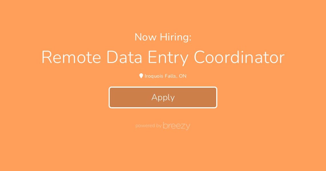 Remote Data Entry Coordinator At Focusgrouppanel