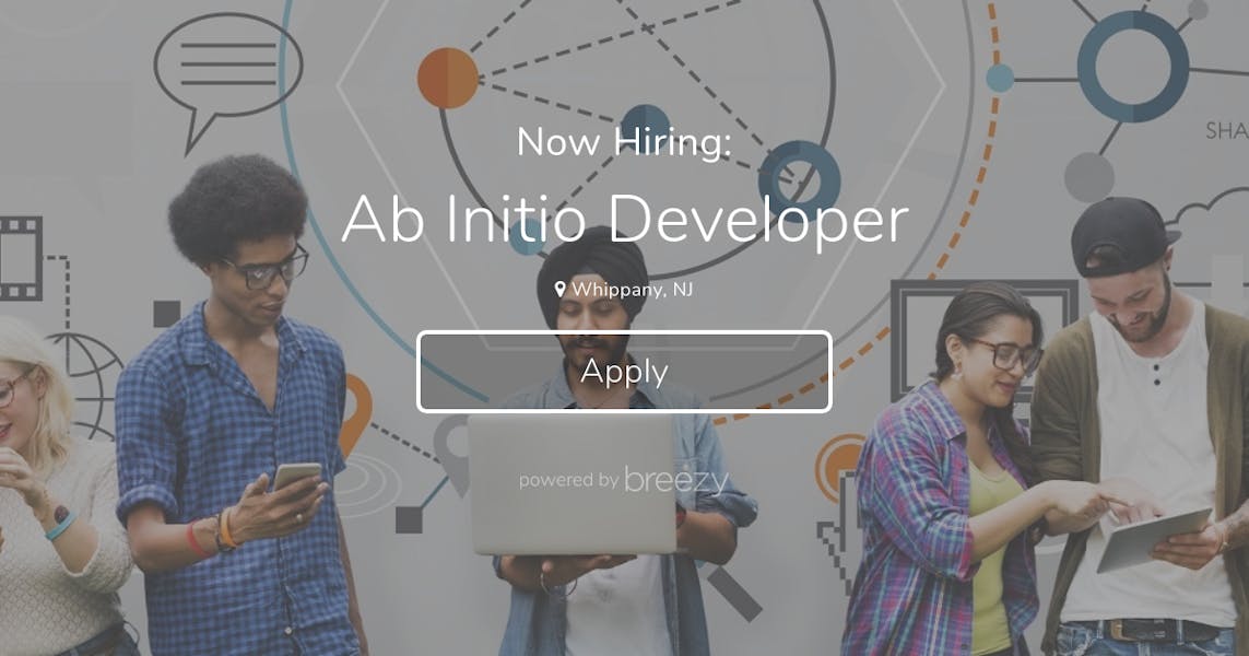Ab Initio Developer At Mlwiz Team