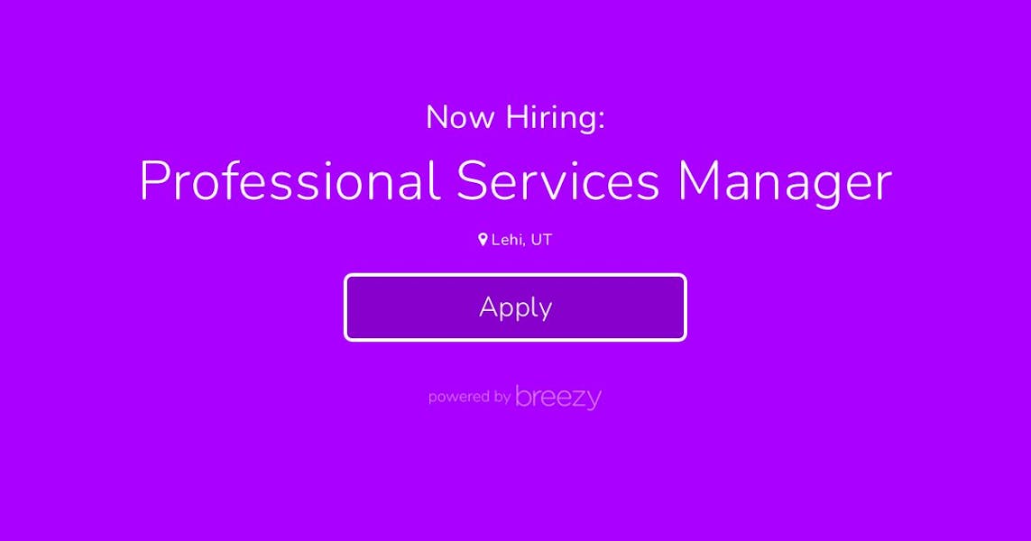 Professional Services Manager at Revver