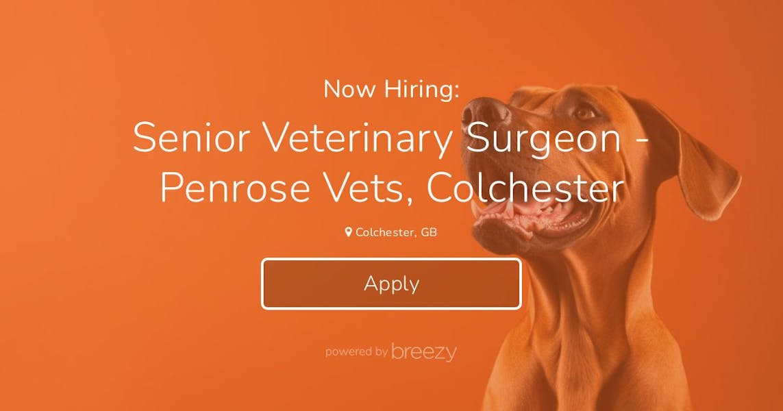 Senior Veterinary Surgeon - Penrose Vets, Colchester at Kin Vet Community