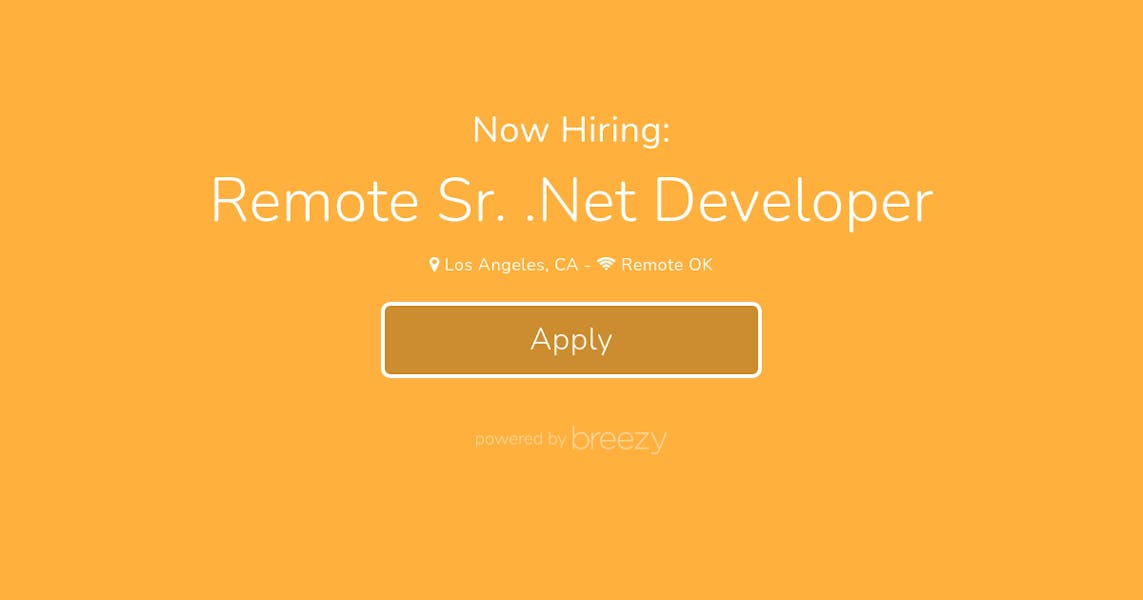 Remote Sr Developer At Param Solutions