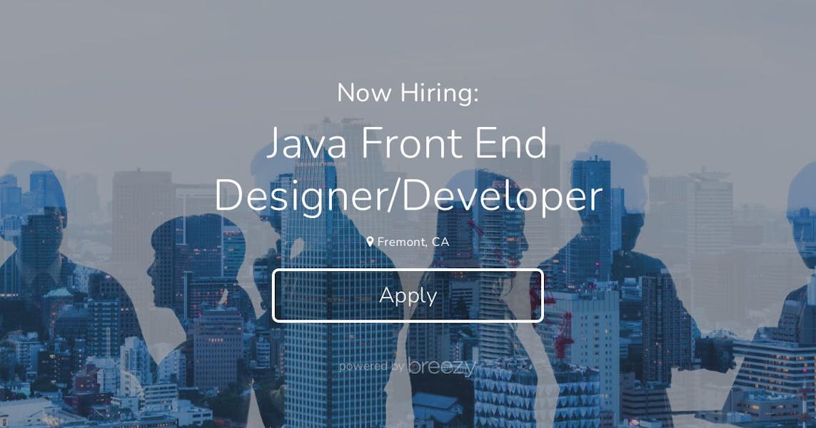 Java Front End Designerdeveloper At Datamaxis