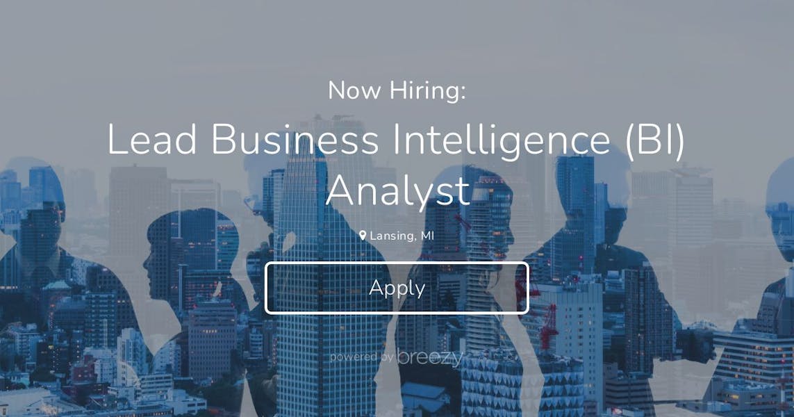 Lead Business Intelligence (BI) Analyst at DATAMAXIS
