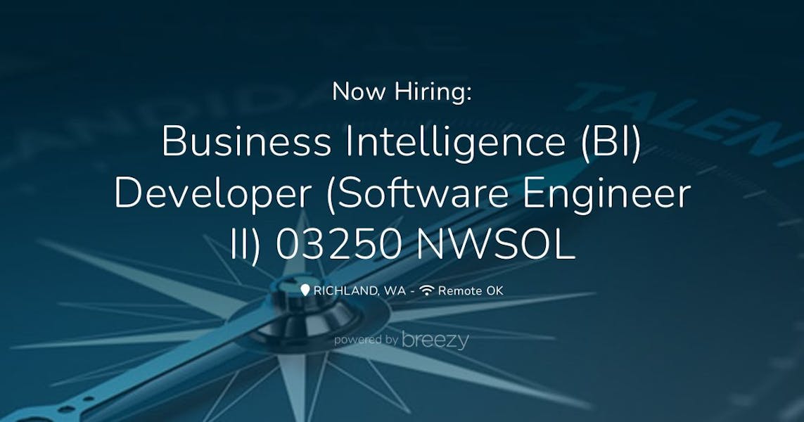 Business Intelligence Bi Developer Software Engineer Ii 03250 Nwsol