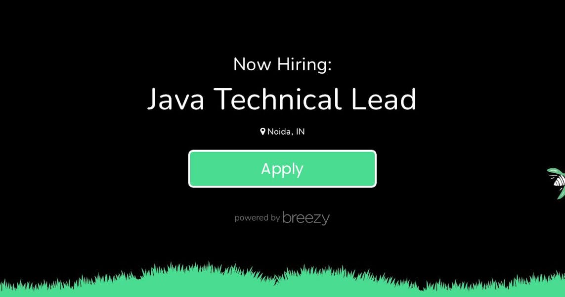 Java Technical Lead at Taazaa